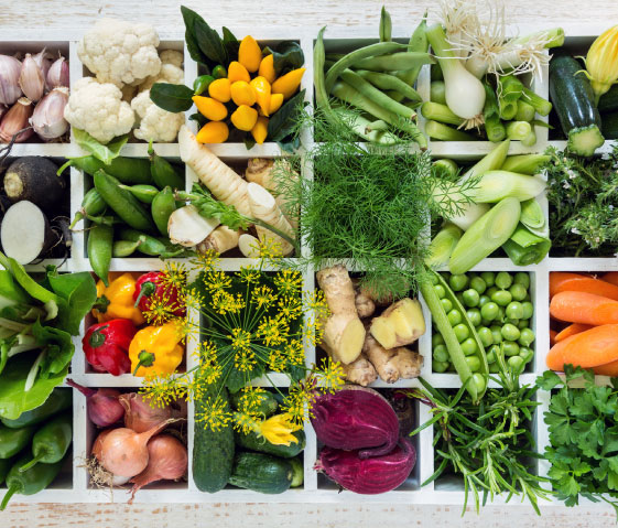 Key Capabilities | Healthy Food Catering In Malaysia | MHFS